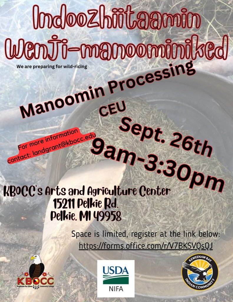 Manoomin Processing - Keweenaw Bay Ojibwa Community College